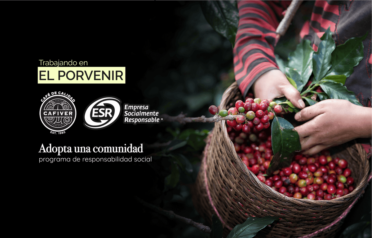 CAFIVER | Expertos en Café – Tienda Online Cafiver
